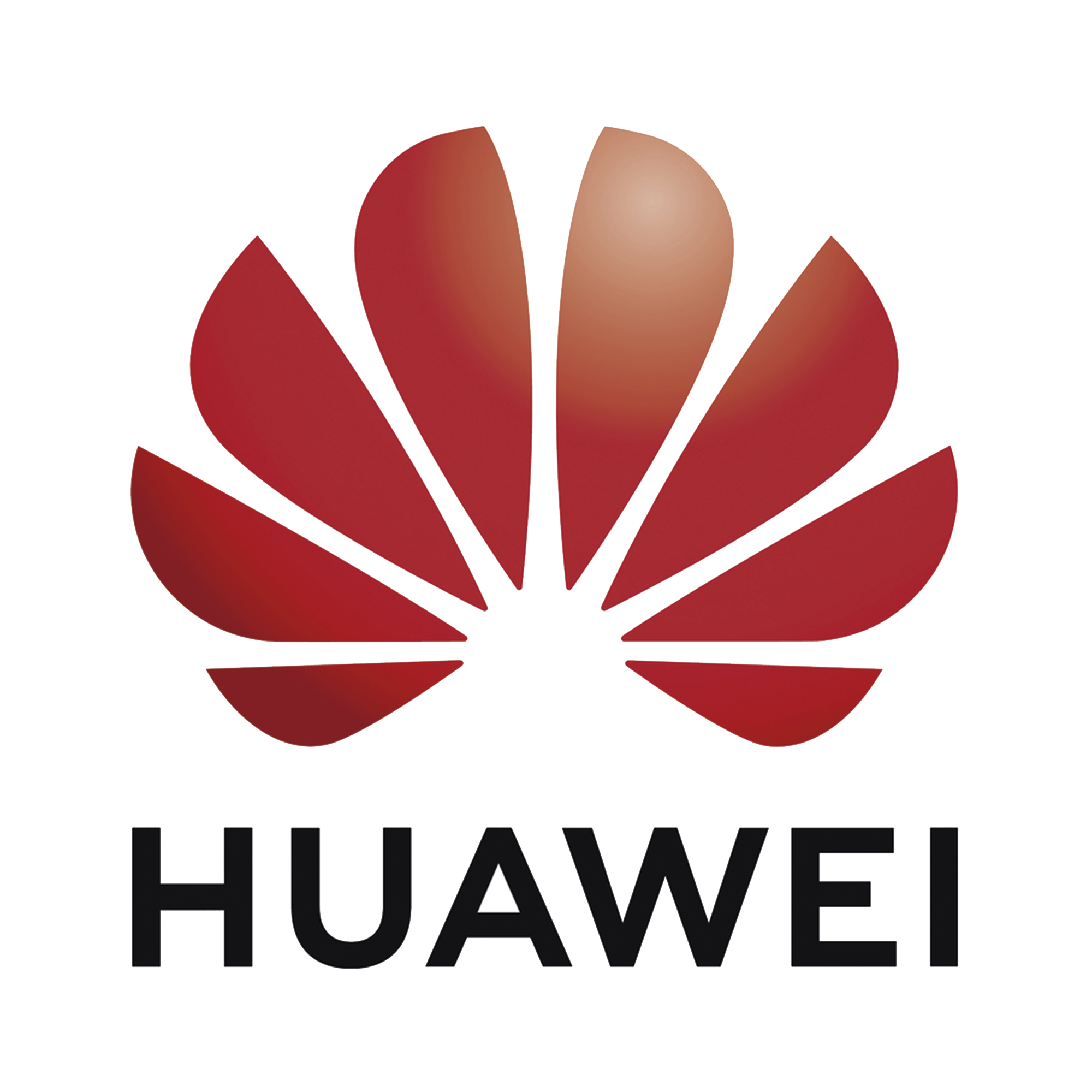 Software de Gestión NCE FAN LITE para equipos GPON Huawei, 3 años – ProLink