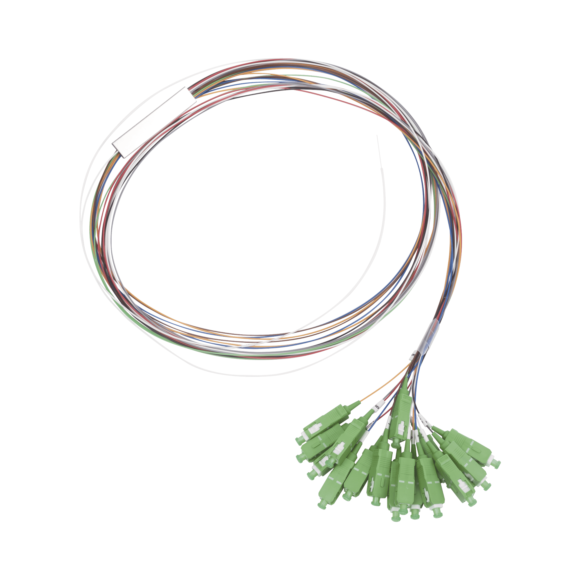 PLC type Splitter, 1x16, SC/APC output connectors – ProLink